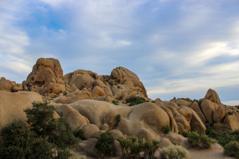 8 Easy Hikes In Joshua Tree National Park That Anyone Can Do ...