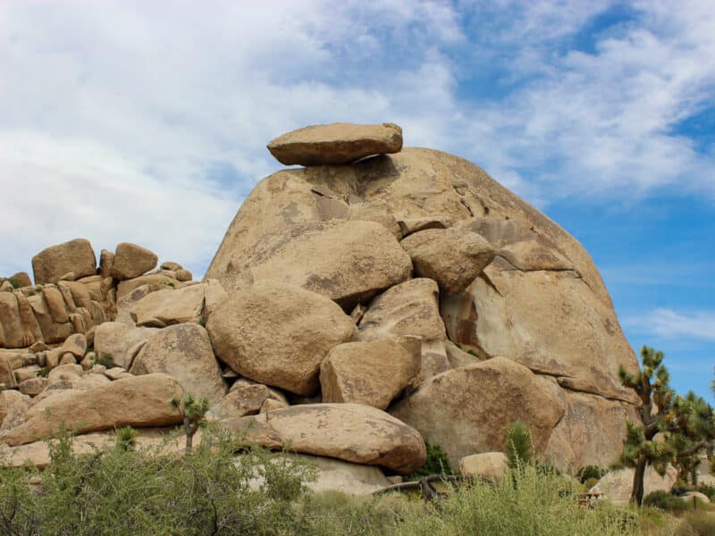 8 Easy Hikes In Joshua Tree National Park That Anyone Can Do ...