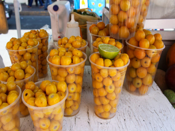 7 Terrific Things To Do In Tepic, Nayarit - Southerner Says Travel