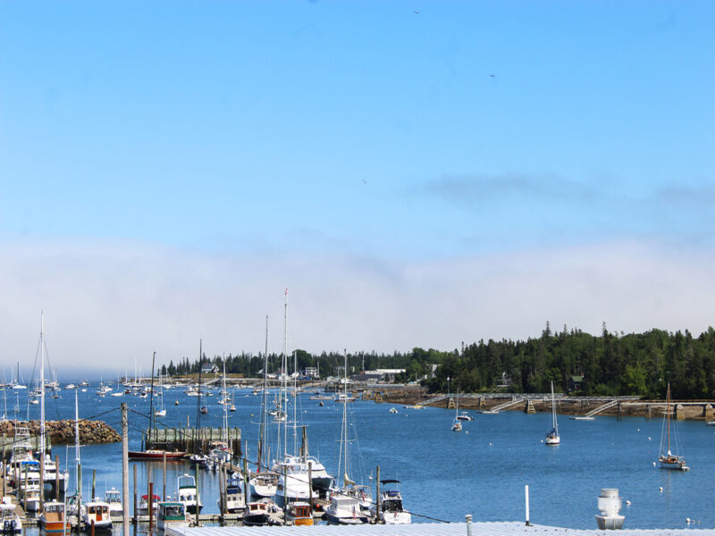 Spend An Amazing Two Days In Acadia National Park - Southerner Says Travel