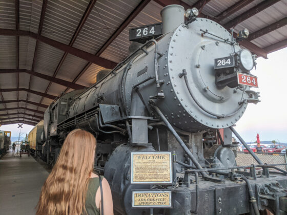 15 Best Things To Do In Boulder City, Nevada - Southerner Says Travel