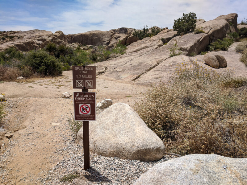 8 Easy Hikes In Joshua Tree National Park That Anyone Can Do ...