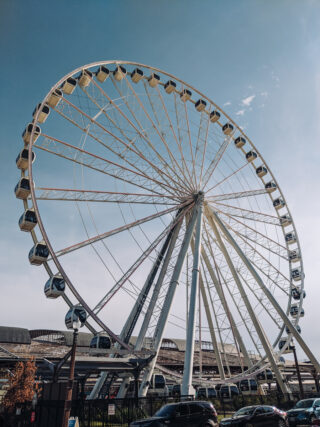 23 Fun Things To Do In St Louis - Southerner Says