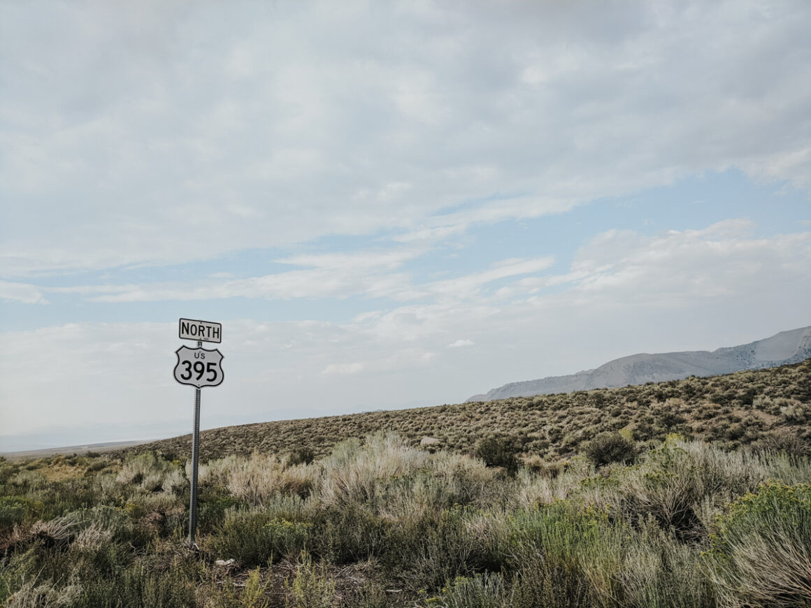 Home - SOUTHERNER SAYS